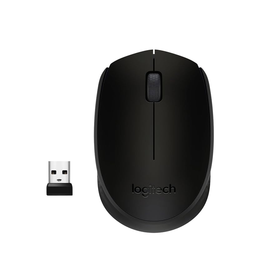 Logitech Wireless Mouse M171 - Black – Kasr Zero